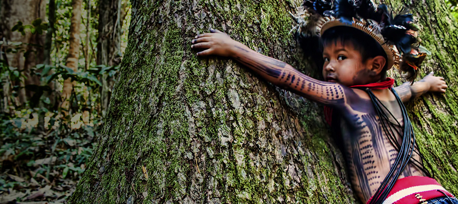 Importance of Community Forests | WeNaturalists