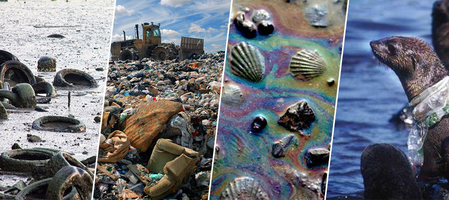 Ocean Pollution - Effects and Causes | WeNaturalists