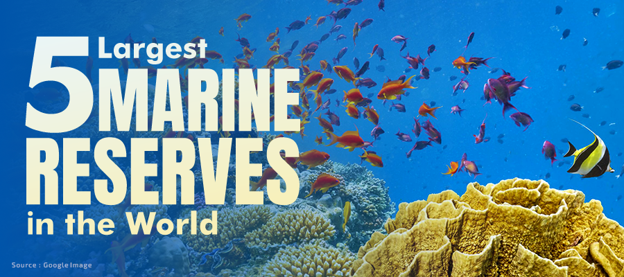 Largest marine reserves in the world | WeNaturalists