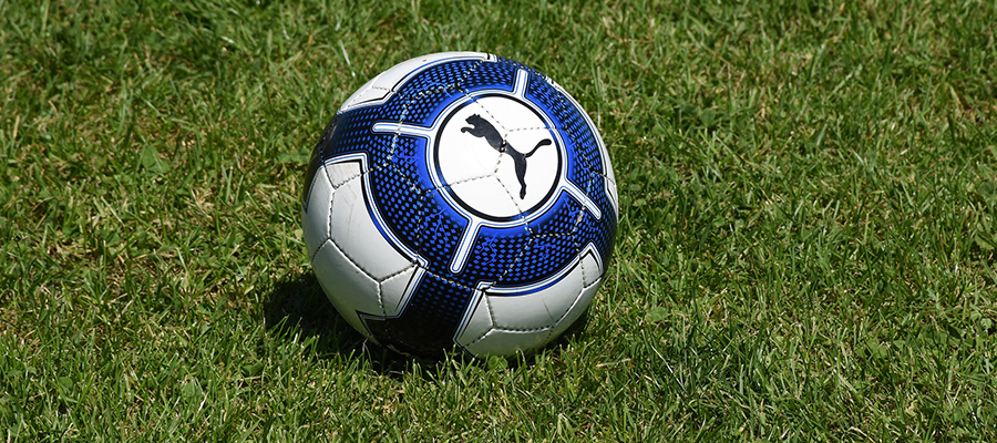 Puma announces World's First Environmental P&L | WeNaturalists