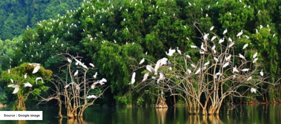 Top 7 Must Visit Bird Sanctuaries Around World | WeNaturalists