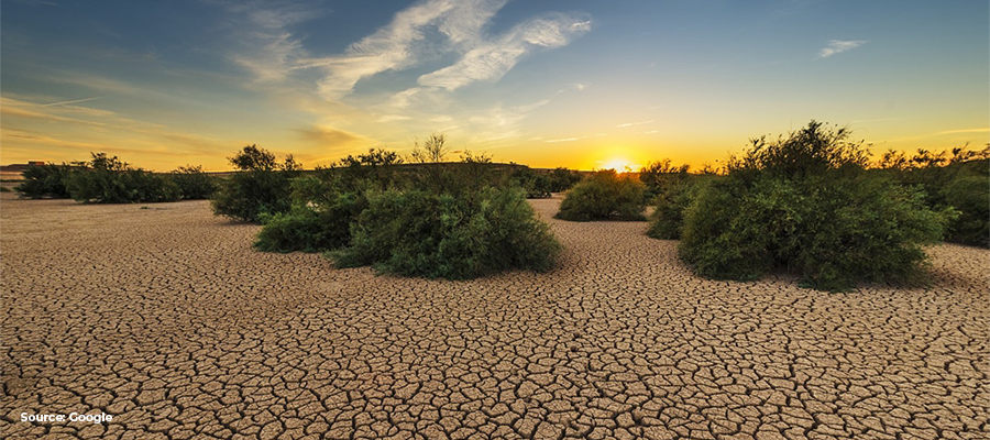 Last Hope To Revive Lost Ecology Through Ecosystem Restoration ...