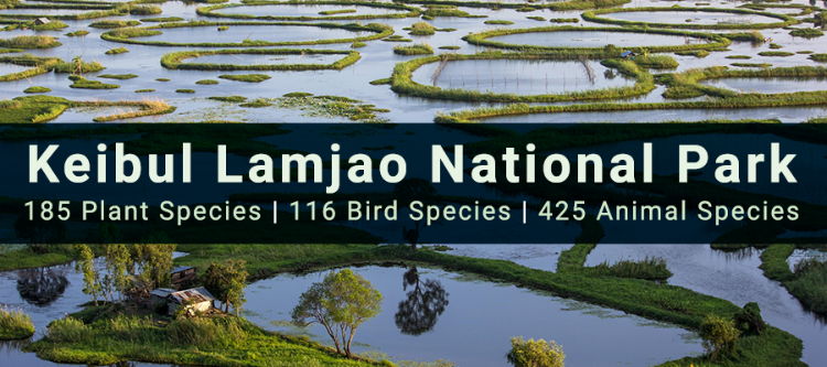 Preserving India’s Only Floating National Park - KLNP