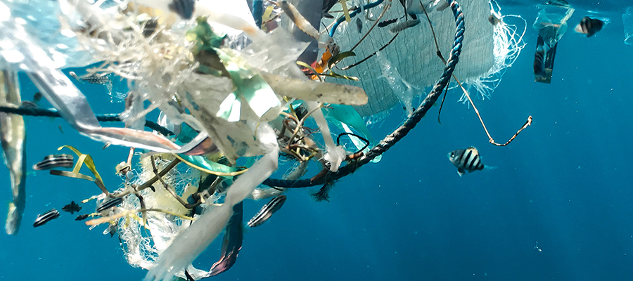 Innovative Campaign to Tackle Ocean Plastic Pollution
