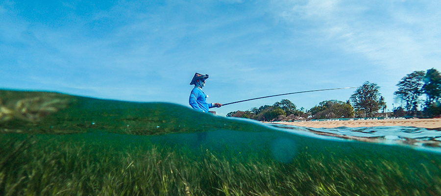 Potential challenges in blue carbon to mitigate climate change