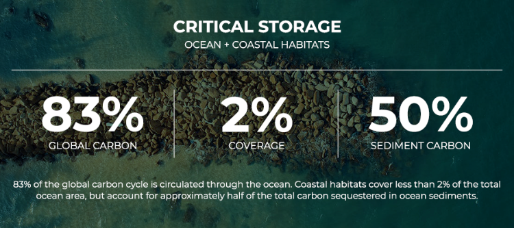 Potential challenges in blue carbon to mitigate climate change