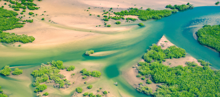 Potential challenges in blue carbon to mitigate climate change