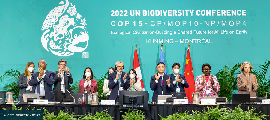 COP15: A Game-Changer in Biodiversity Conservation