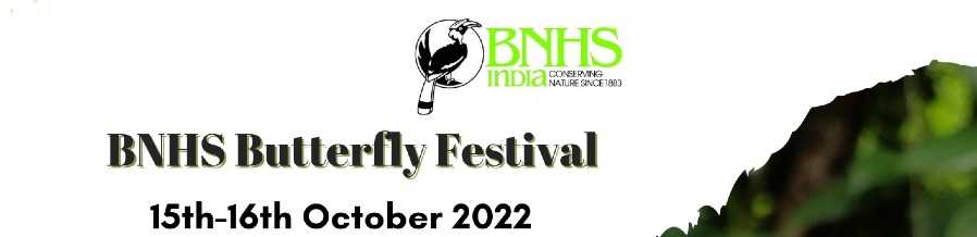 BNHS Butterfly Festival | New opportunities and projects to explore ...