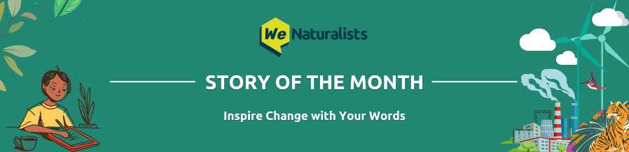 Story of the Month Series | New opportunities and projects to explore ...