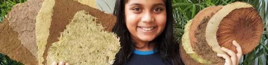 PROJECT KITCHEN WASTE TO DIY VEGETABLE PAPER - solution to Wet waste ...