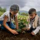 Green Childhood